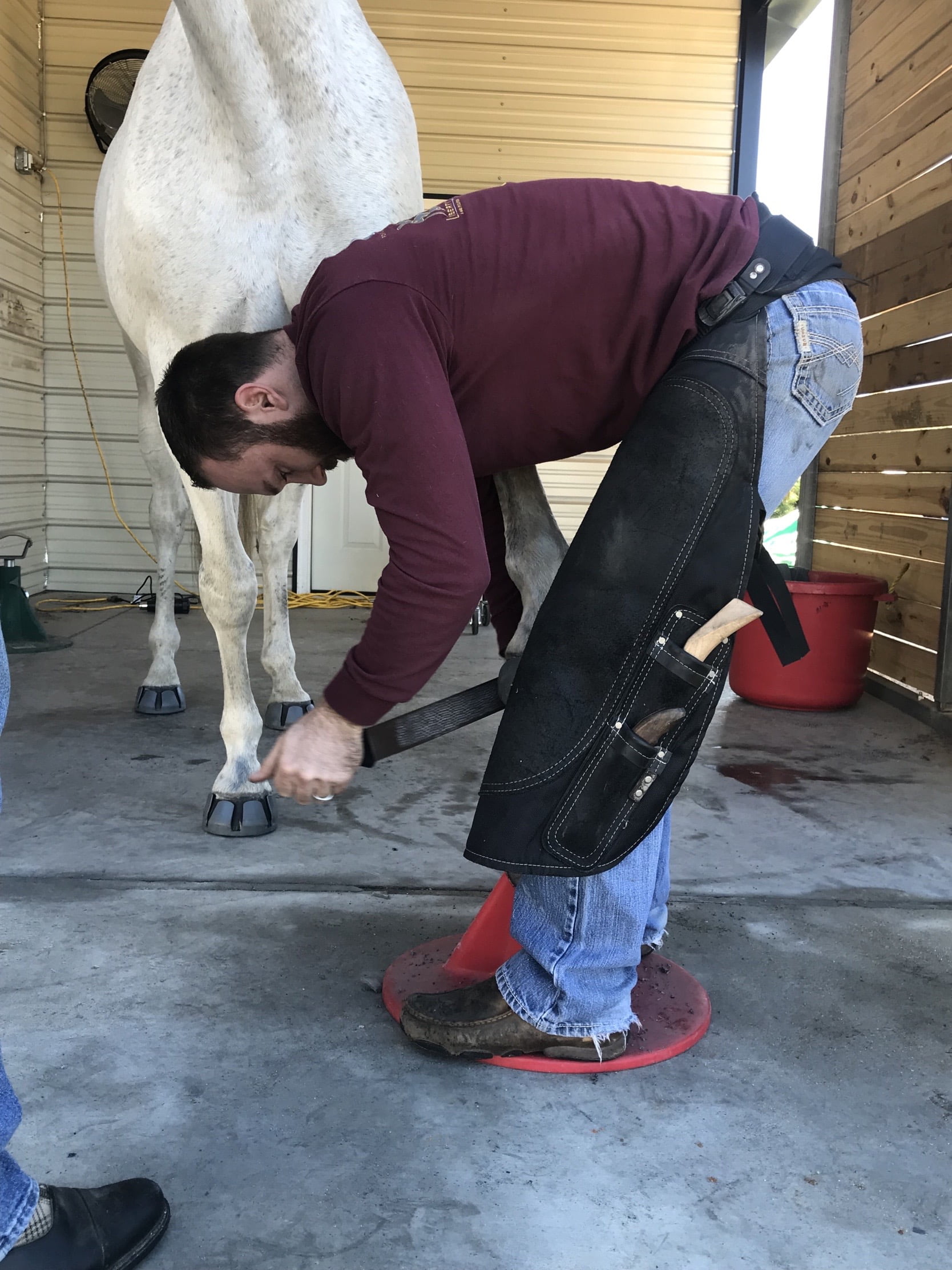 Podiatry - Denali Equine