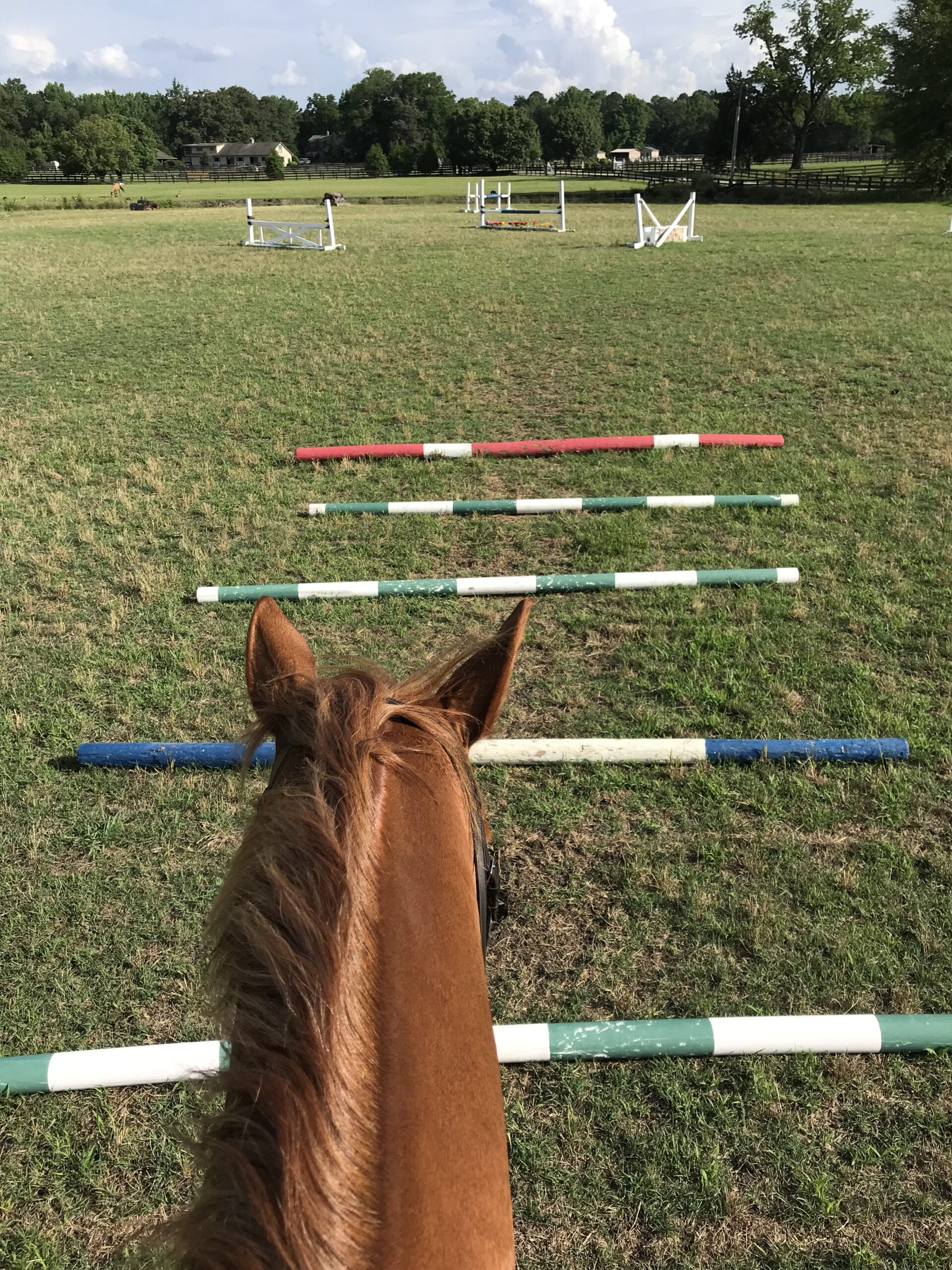 Body Rehabilitation - Denali Equine